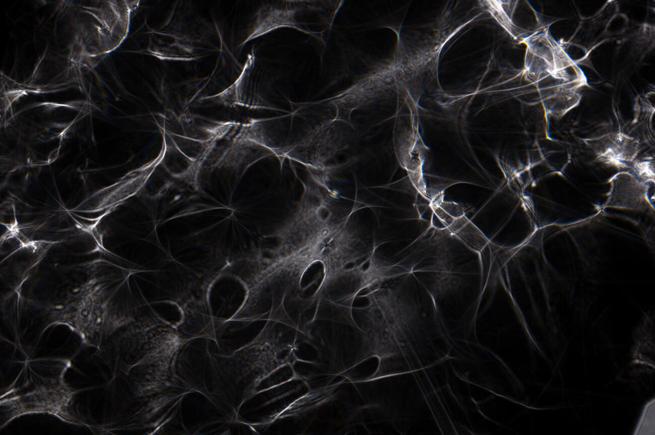 Caustics - Alexandr Gnezdilov