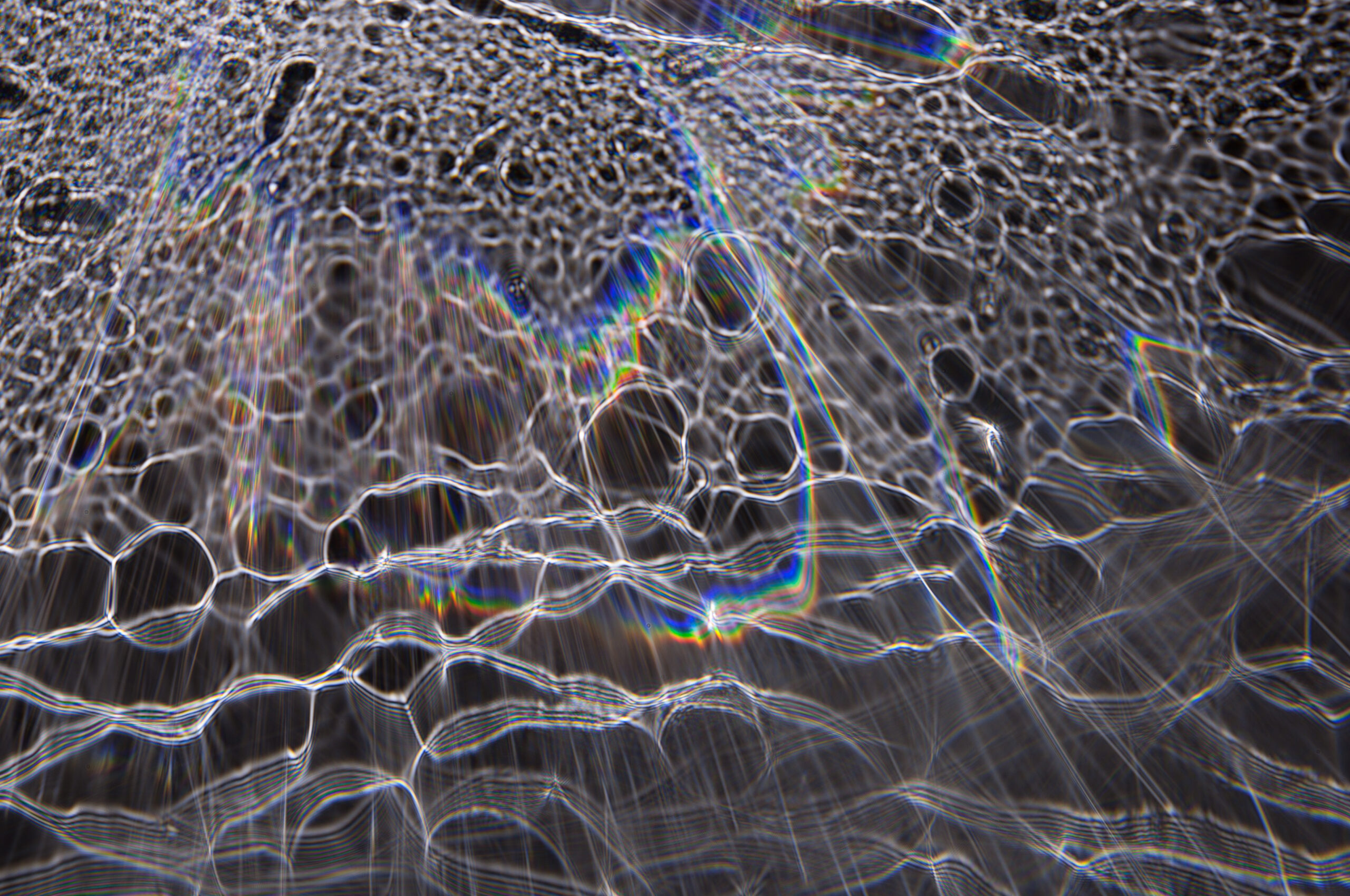 Caustics - Alexandr Gnezdilov